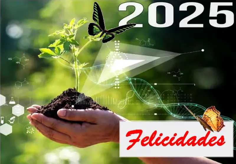 Por estar juntos en 2025